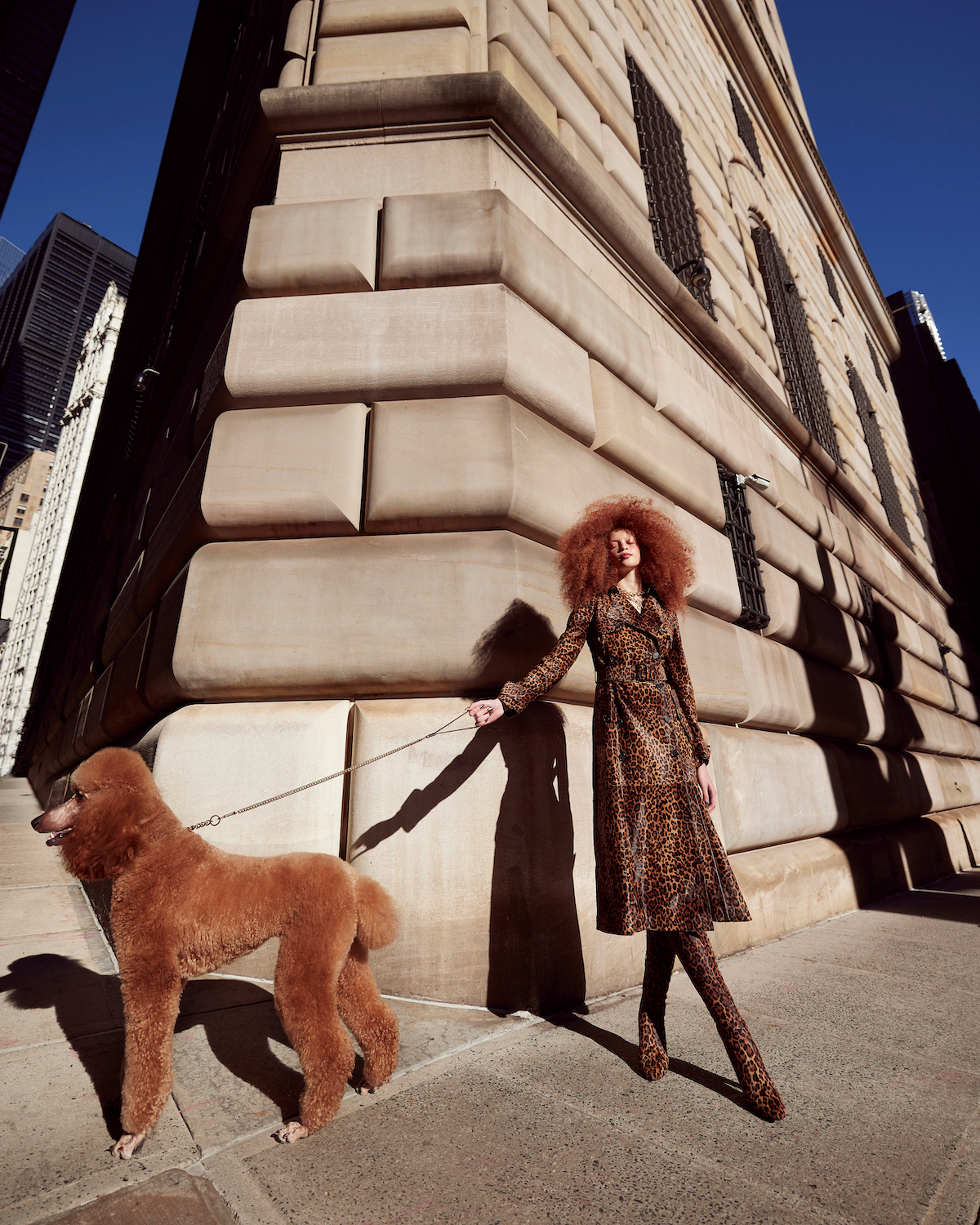 Carla Guler - See Management